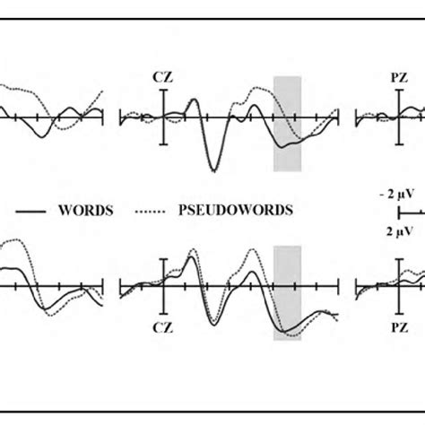 Averaged ERP Waveforms At Medial Scalp Sites For Words And Pseudowords