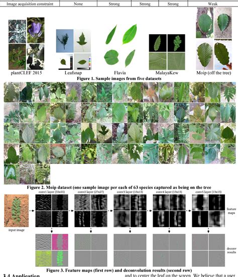 Figure 1 From Weak Constraint Leaf Image Recognition Based On Convolutional Neural Network