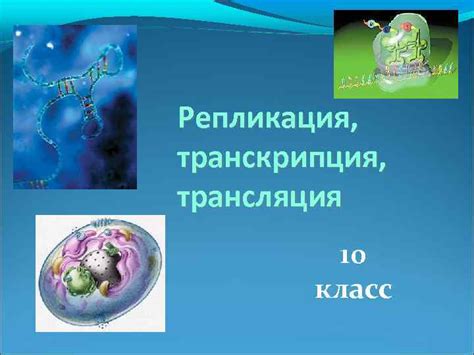 Репликация транскрипция трансляция 10 класс Репликация Это