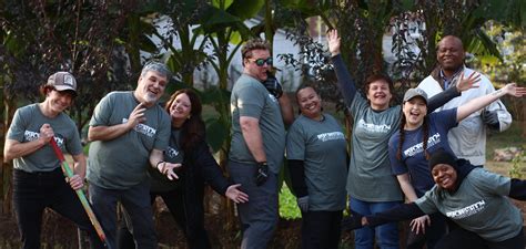 Understanding Urbanization How Urban Growth Affects Ecosystems And Fo One Tree Planted