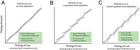 Differences In Spatial Versus Temporal Reaction Norms For Spring And