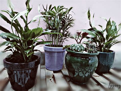 Zentara Dev Ar Source Is The Leading Augmented Reality Company Focused On Delivering