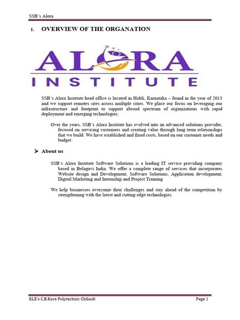 Hsp Report Pdf Enterprise Resource Planning Multi Level Marketing
