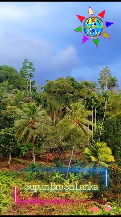 🗾🌴උඩරට🏕️කඳුකරයේ🏞️🌅 Youtube