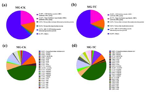 Abundances Of Antibiotic Resistance Gene Amr Types In The A Ck And