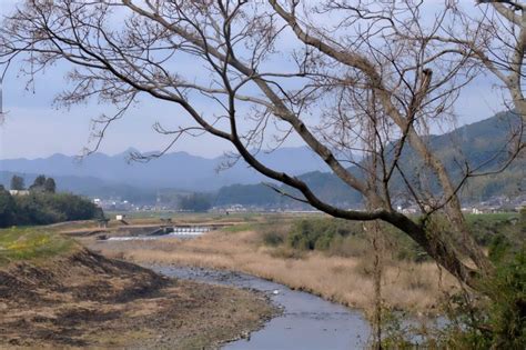 塩田川と栴檀の木 きずなの家創り