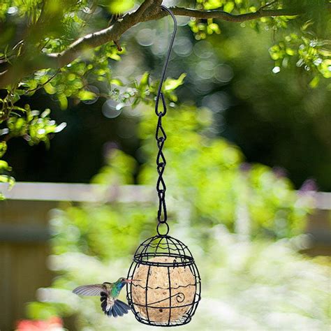 Amacok Bird Feeder Seed Ball Wild Bird Feeder Small Metal Hanging