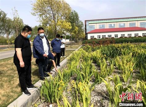 山东开展黄河流域生态保护和高质量发展专项审计调查凤凰网山东凤凰网