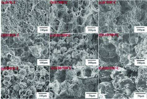 Fracture Surfaces Of Different Specimens Stretched At Various Temperatures Download