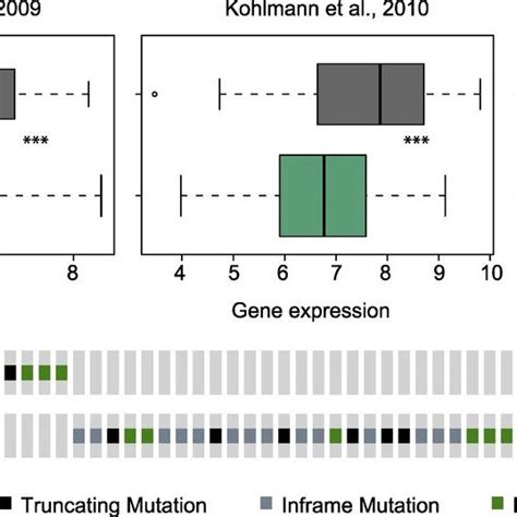 runx1gene expression levels and mutation frequency in flt3 itdpos