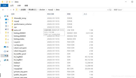 使用docker Desktop For Windows安装mysqllatest并持久化mysql数据至windows的文件夹下docker Mysqllast Csdn博客