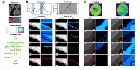 Deep Learning For Automated Experimentation In Scanning Transmission Electron Microscopy