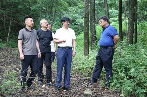 吉林长白山森工集团有限公司官方网站