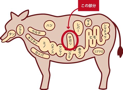 牛一頭からとれるのはたった1本！？希少部位「サガリ」を実食！レポート 安堂グループ