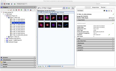 Omero Clients Overview — Omero Documentation