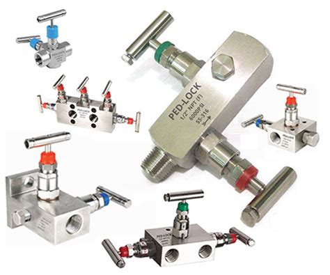 Manifold Valve 2 3 5 Way Manifolds Valve Supplier Manufacturer India