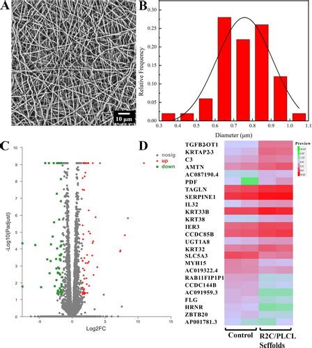 Full Article Electrospun Mini Misp Spidroinpolyl Lactide Co ε