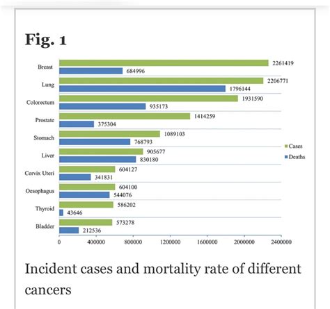 Researchers Build A Novel Transfer Learning Model Ver Net By Stacking