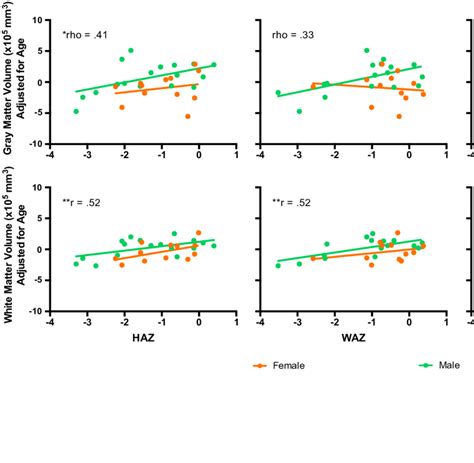 Brain Anthropometry Relationships Anthropometric Indicators Measured Download Scientific