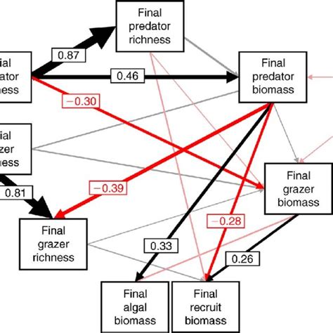 Structural Equation Model Of Herbivore And Predator Species Richness As Download Scientific