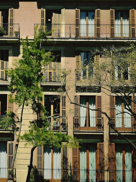 Edificios Residenciales En La Ciudad Foto Premium