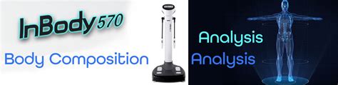 Body Composition Analysis Dr Amirs Weight Loss And Metabolism Center