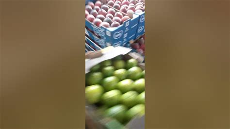 بطيخ اصفر شمام وكمية محدودة موجودة شي بجنن ومكفول وع ذواء Youtube