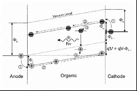 Structure Of A Single Layer Oled Anode Organic Material Cathode [27