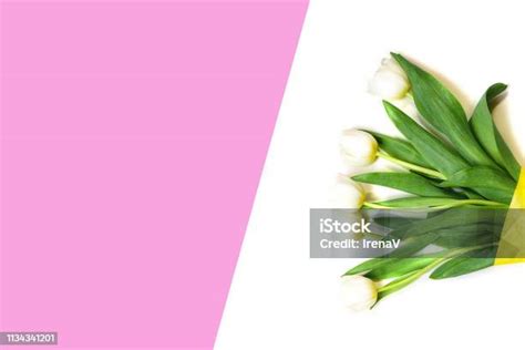 흰색과 분홍색 배경에 흰색 튤립 꽃 봄 행복 한 부활절 카드입니다 발렌타인 데이 생일 3 월 8 일 어머니의 날 선물의 개념