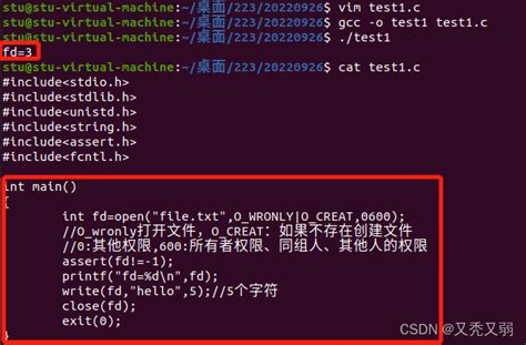 【linux】退出码和文件如何知道进程的退出码 Csdn博客