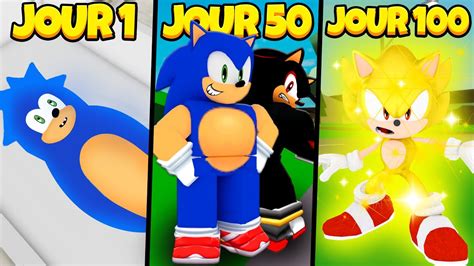 Jours En Sonic Sur Brookhaven Rp Roblox Youtube