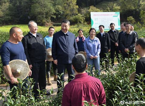 习近平与福建的茶之缘 长江云 湖北网络广播电视台官方网站