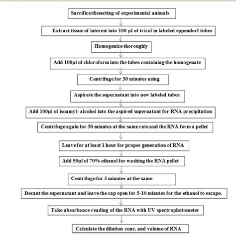 Flow Chart On Conversion Of Rna To Cdna Download Scientific Diagram
