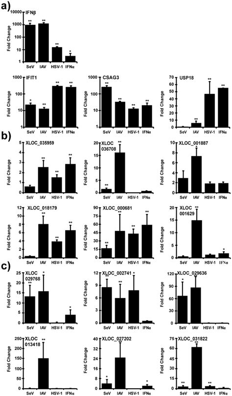 nvirna expression in thp 1 cells total rna from thp 1 cells infected