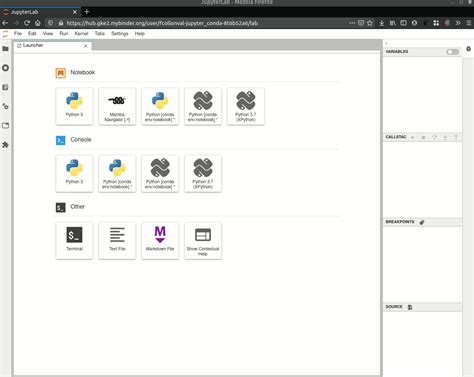 Debugger Onoff Button Not Available For Kernels On Conda Envs · Issue