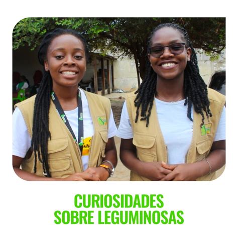 Fundação Seppa No Linkedin Curiosidades Sobre Leguminosas