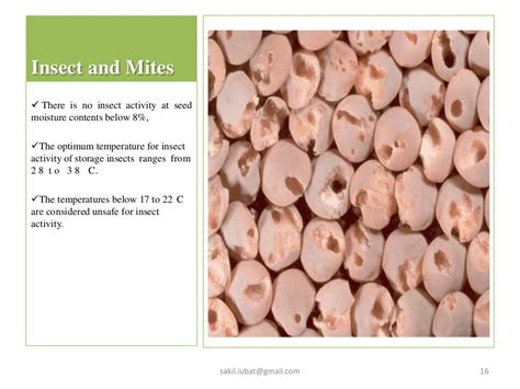 Seed Deterioration And Enhancement