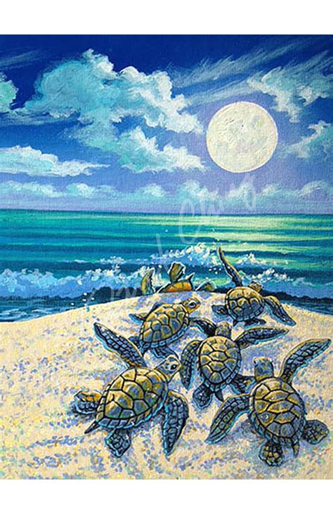 Honu Hatchlings Patrick Ching