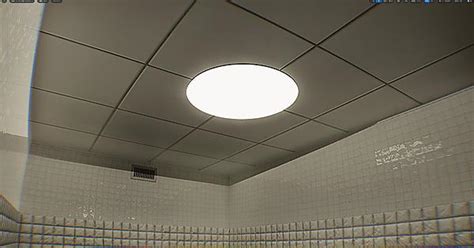 A Daily Screenshot Of My Games Dev Progress Until I Release Day 41