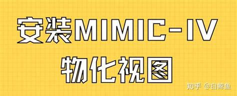 手把手教会你认识跟安装MIMIC IV物化视图 知乎