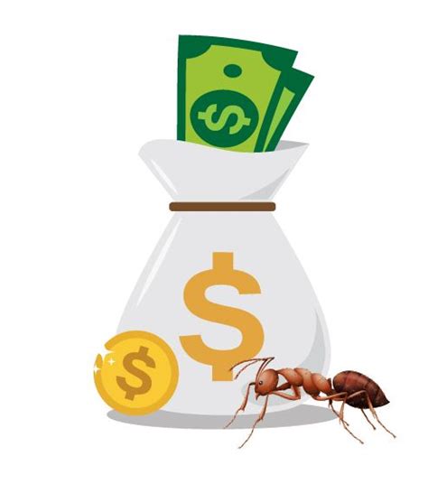 Prices Dead Bugs And Termites