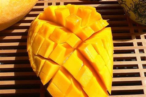 Berita Manfaat Biji Mangga Terbaru Hari Ini Bobo