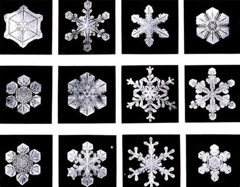 Snowflake Sketches Bentley