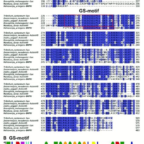 Sequence Alignment And Protein Modeling Of Tgf βris A Download
