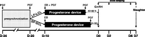Synchronization Protocol Cows Were Pre Synchronized Via Two Injections Download Scientific