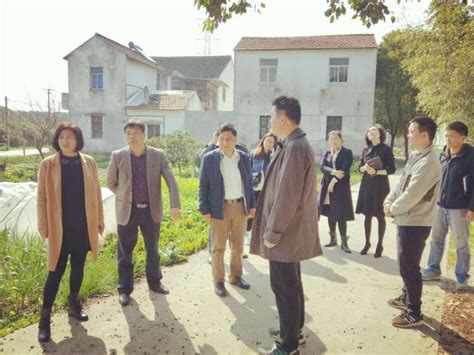 镇美丽乡村创建指挥部一行到东厍村检查指导创建工作 工作动态 练塘镇 上海市青浦区人民政府