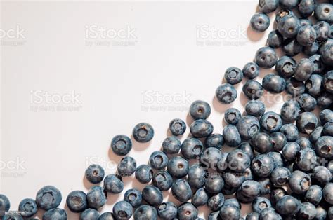 맛 있는 블루베리 흰색 배경에 고립 블루베리는 항 산화 유기 Superfood 블루베리 배경입니다 블루베리 테두리 디자인입니다