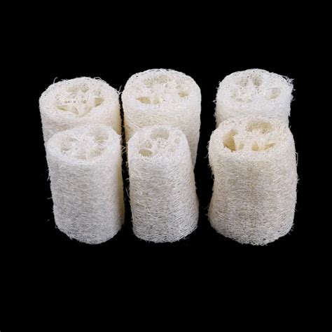 6x Natural Loofah Luffa Loofa Spa Bath Sponge Kitchen Clean Scrubber