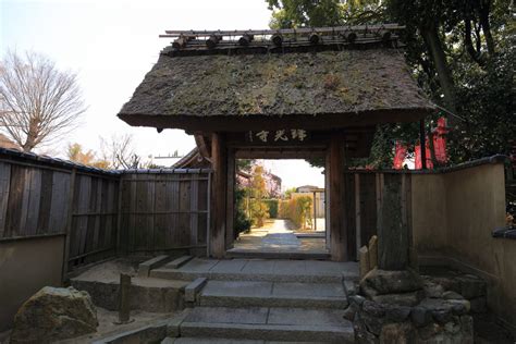 瑞光寺 桜 深草の風情あるしだれ桜の隠れた名所 京都もよう KYOTO MOYOU