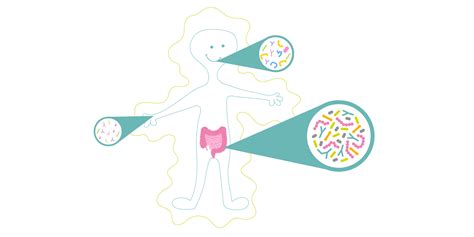Wat Zijn Het Microbioom En De Microbiota Mymicrozoo